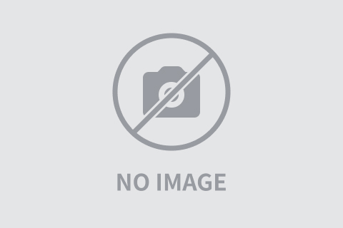 スイス決定版！5大名峰めぐり8日間 ＜往復ビジネスクラス利用プラン（全区間）＞｜JTB｜添乗員同行ツアー