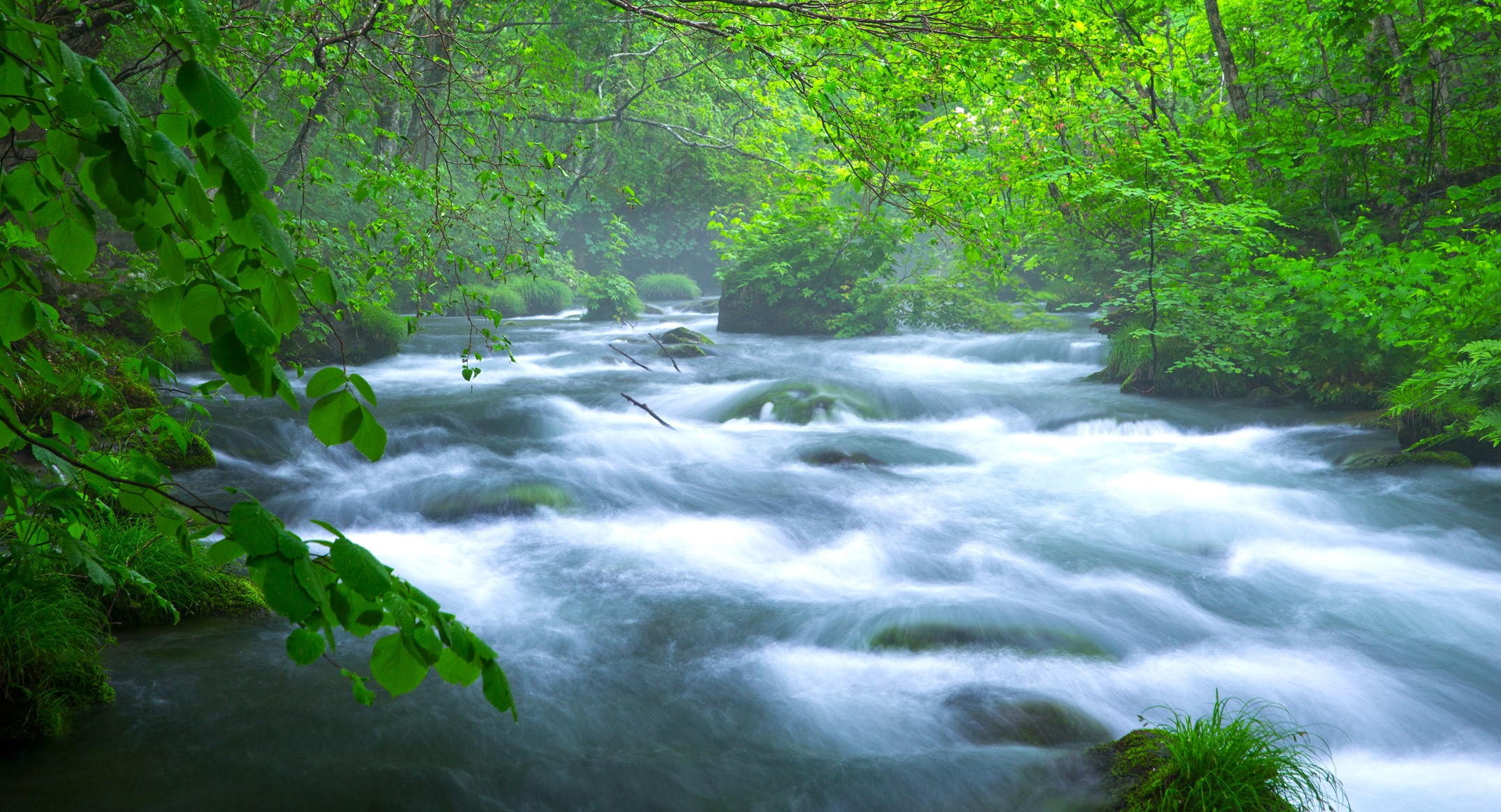 【東京-青森】新幹線で行くパック・ツアー - JTB