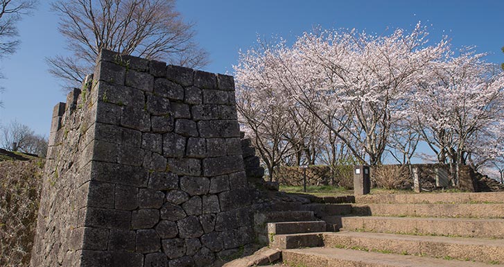 桜｜国内ツアー・旅行｜JTB旅物語