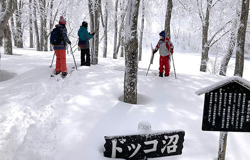 【JTB】KoKoNoko（ココノコ）｜アドベンチャーツーリズム・アクティビティ・体験予約サイト
